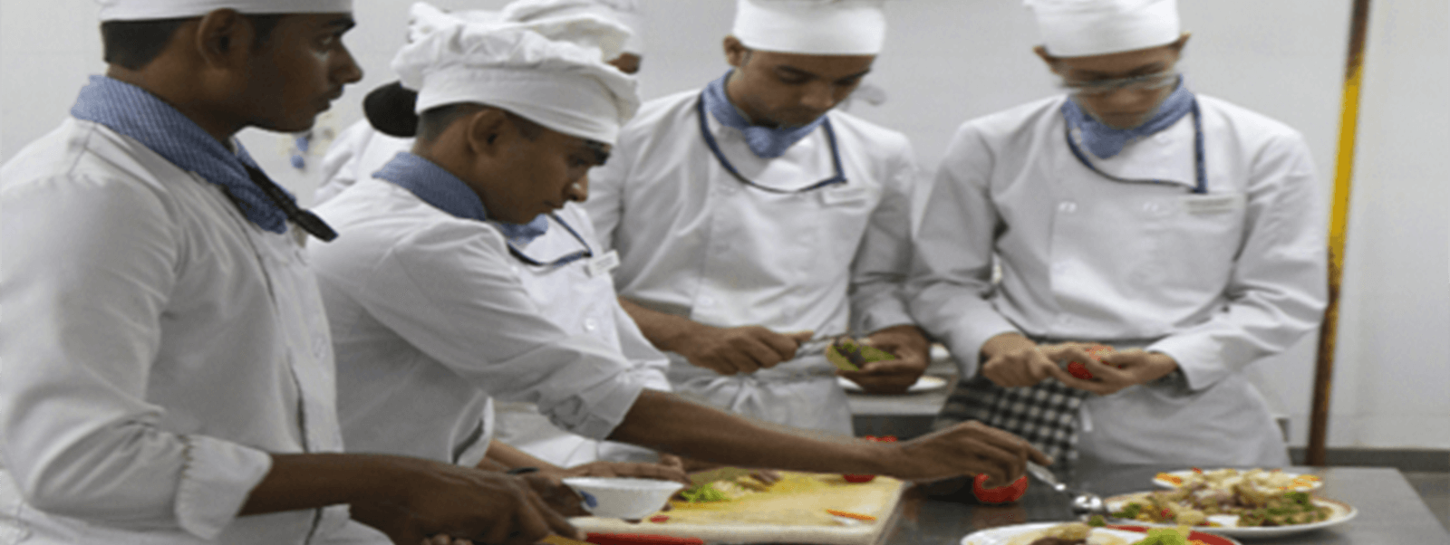 APPRENTICESHIP TRAINING - India Tourism Development Corporation - The ...